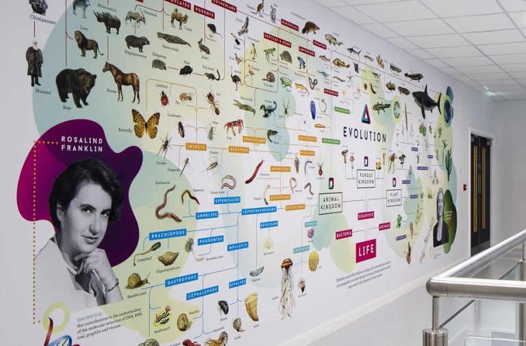 Science Wall Art for your school - Promote Your School