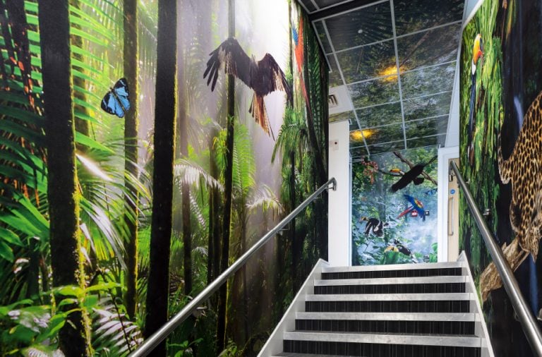 The Visual Environment & Pupil Wellbeing - Promote Your School