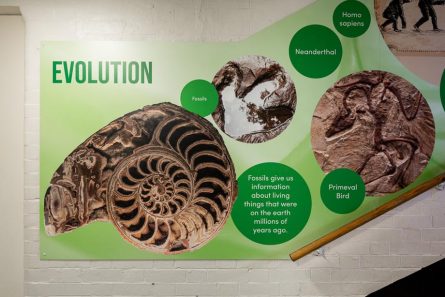 Central Park Primary Science Stairwell Wall Art - Promote Your School