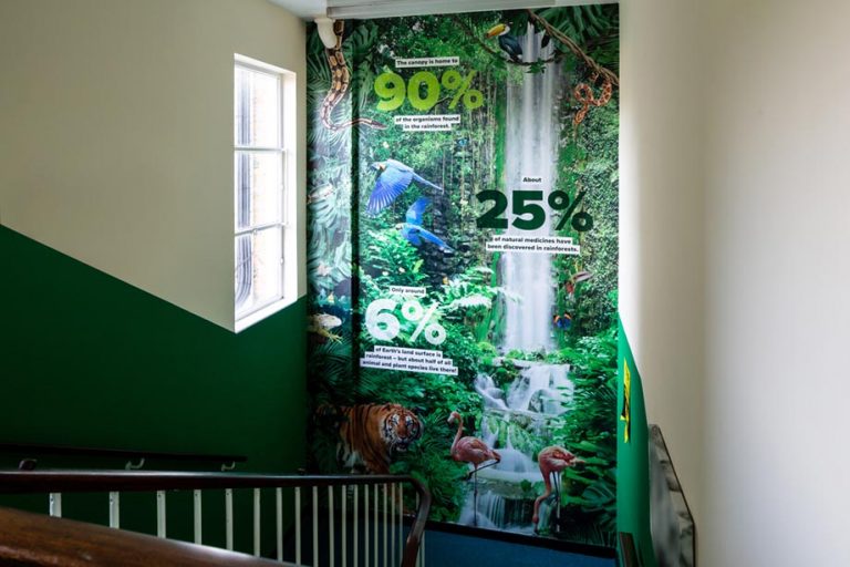 World Wall Art - maps and environment - Promote Your School