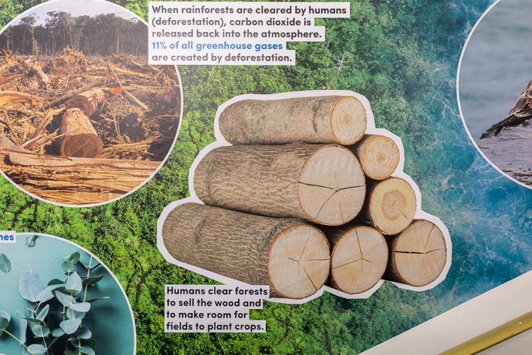 Colmers Farm Primary Environmental Awareness - Promote Your School