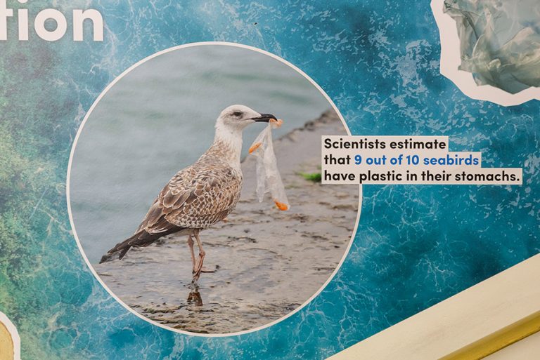 Colmers Farm Primary Environmental Awareness - Promote Your School