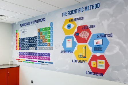 Wall Art to support education of the whole child - Promote Your School