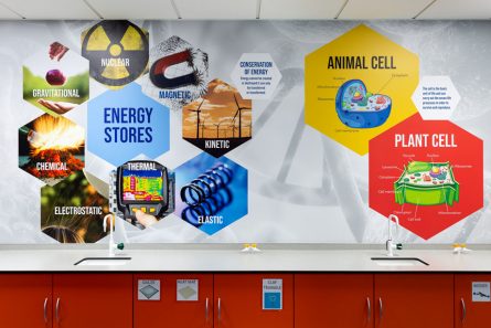 Ash Manor School Science Lab Wall Art - Promote Your School