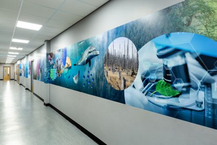 The Whitby High School Environmental Science - Promote Your School