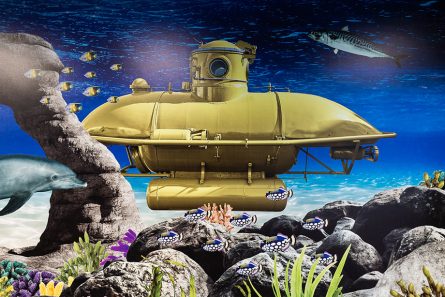 Lee Chapel Primary School Sea Life Corridor - Promote Your School