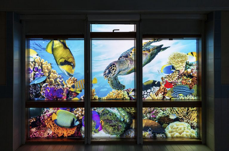 Ready for a change? Wall Art in 2023 - Promote Your School