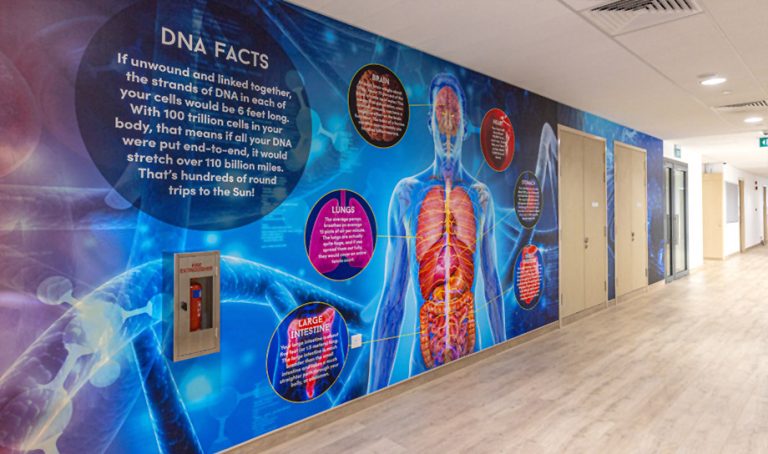 North London Collegiate School (Singapore) Biology Wall - Promote Your ...