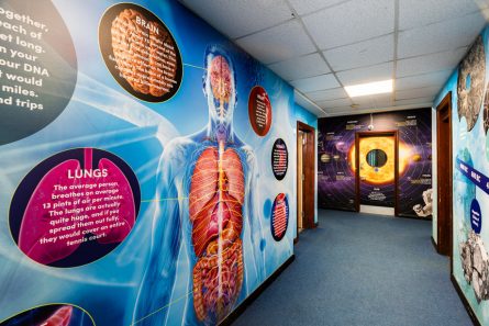 Davison CE High School for Girls Science Timeline Wall Art - Promote ...